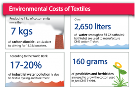 Environmental Impacts & Solutions in the Textile Industry